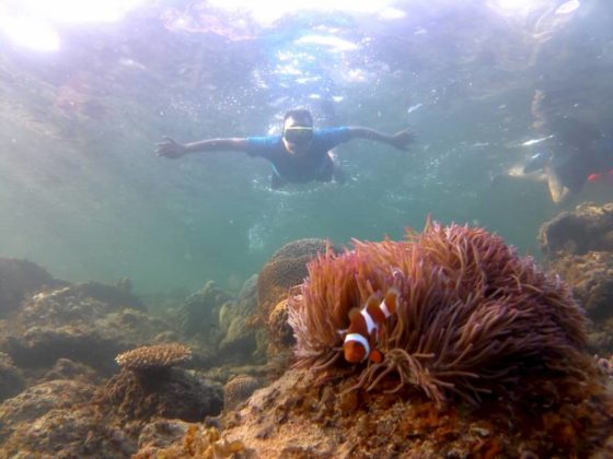 Paket Wisata Pulau Lemukutan - Nikmati Liburan dan Snorekeling dengan ...