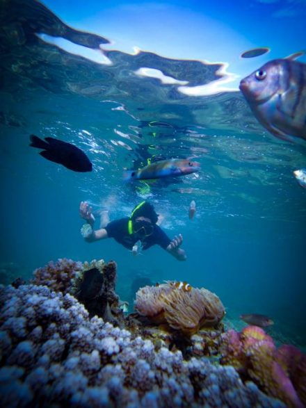 Wisata Pulau Lemukutan Keindahan Alam Bawah laut yang Eksotis - Amazing ...